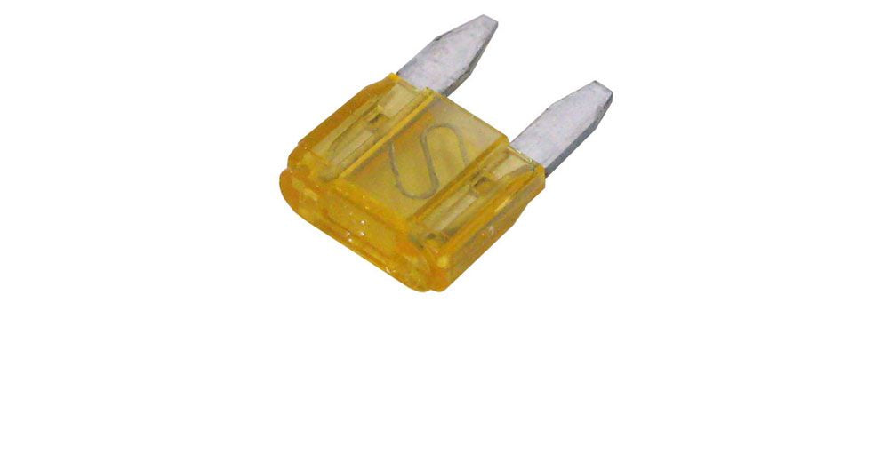 Mini Fuses BLP 100Pcs Car Fuse Kit - 56 Mini + 44 Standard Blade Fuses ...